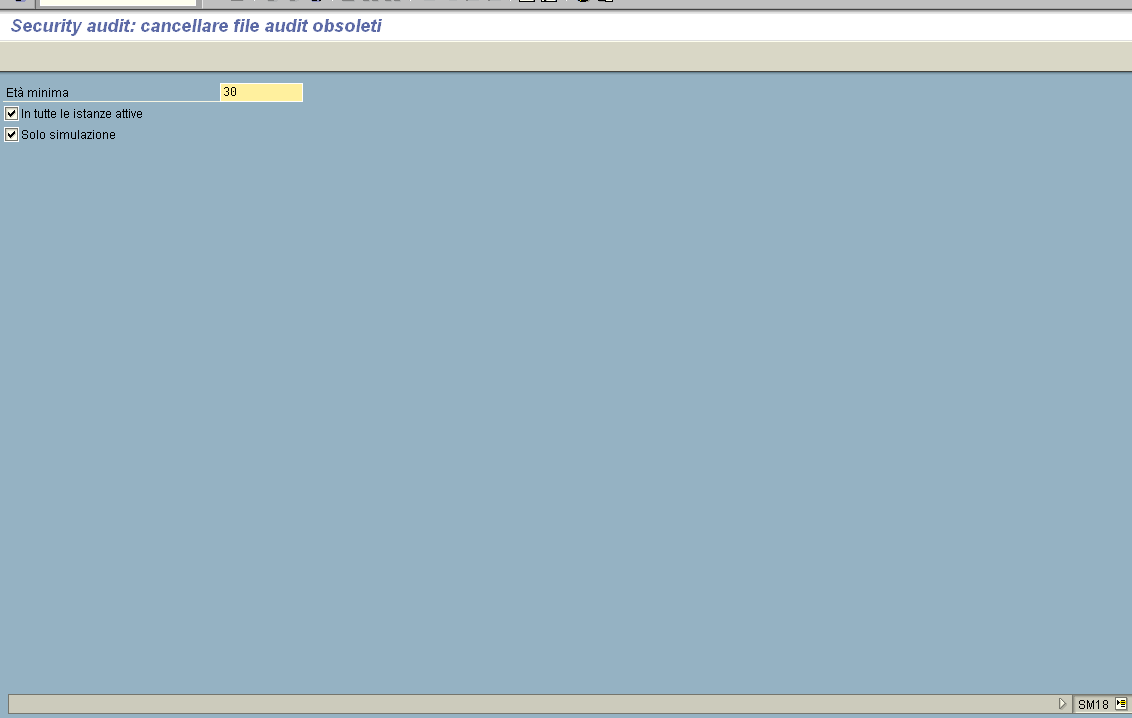 SAP Security Audit Log