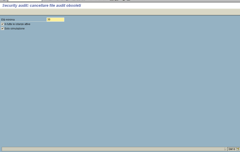 SAP Security Audit Log