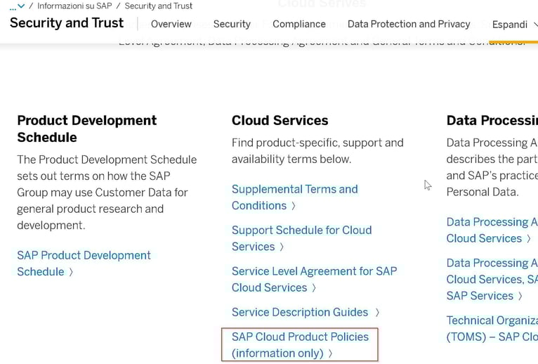 RISE SAP - SAP Security