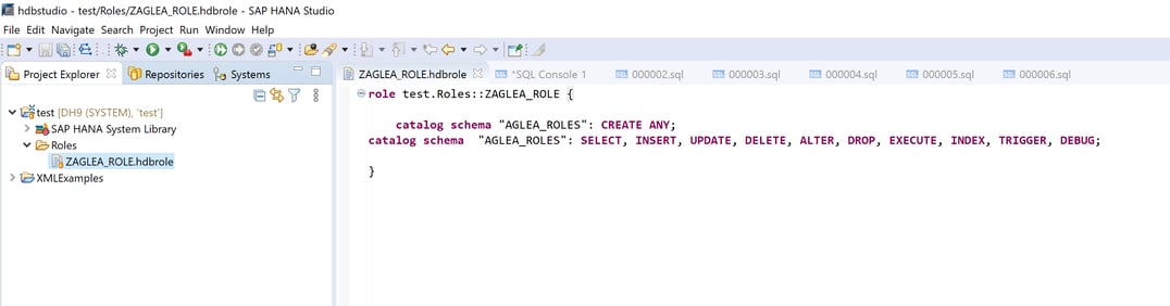 WHAT ARE SAP HANA ROLES?