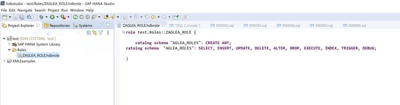 WHAT ARE SAP HANA ROLES?