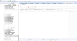 WHAT ARE SAP HANA ROLES?