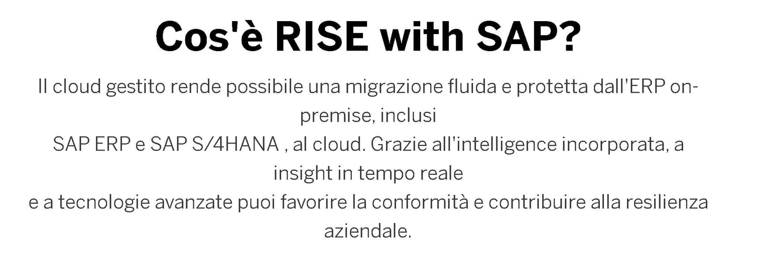 RISE SAP - SAP Security