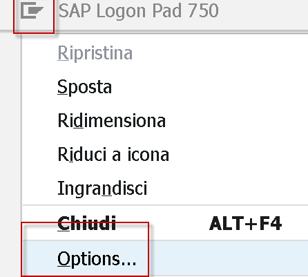 SAP GUI Security Settings