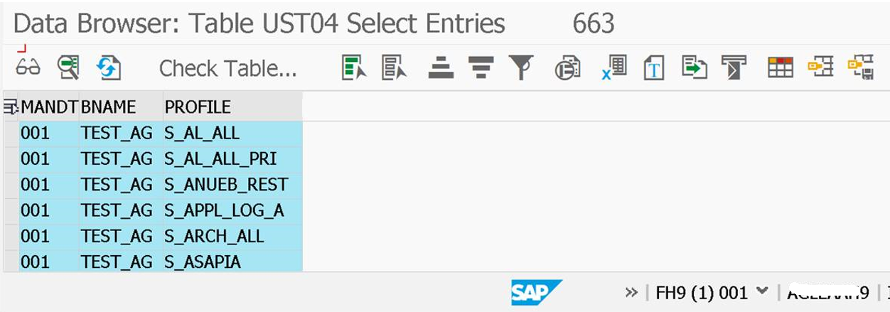 How do you surpass the 312 profiles limit in SAP?