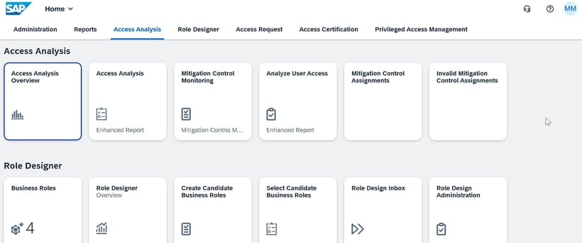 SAP IAG SOD MATRIX
