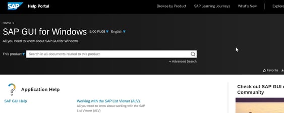 SAP GUI Security